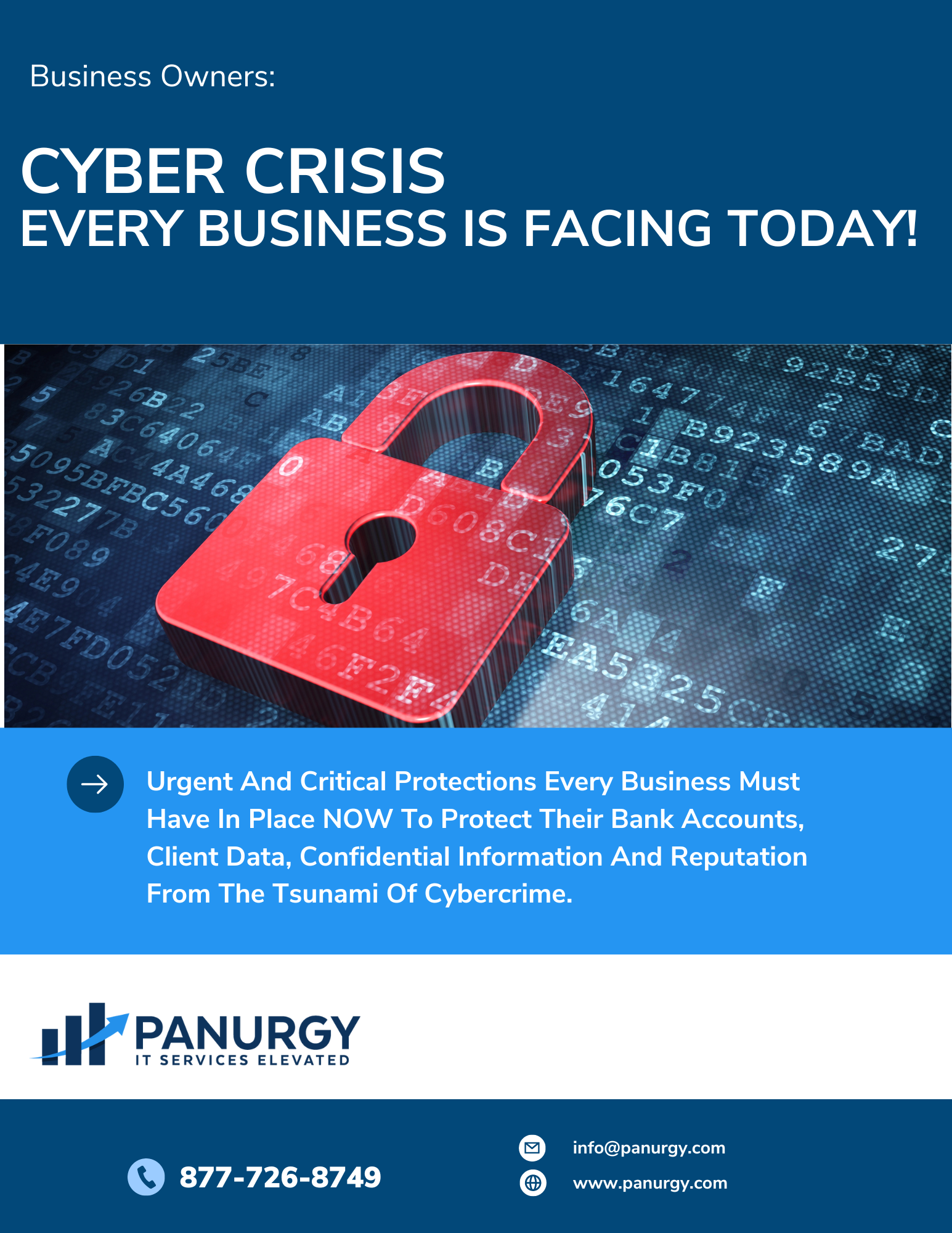 Cybersecurity Business Owners Crisis | Panurgy